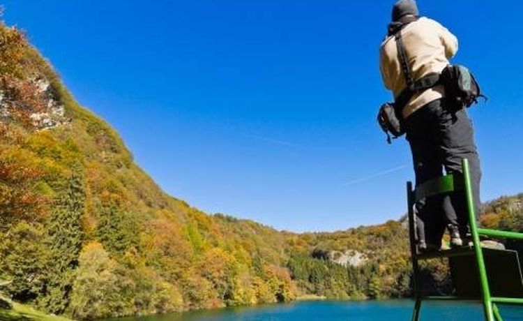 Ausbildung zum Forstwirt - Infos und freie Plätze