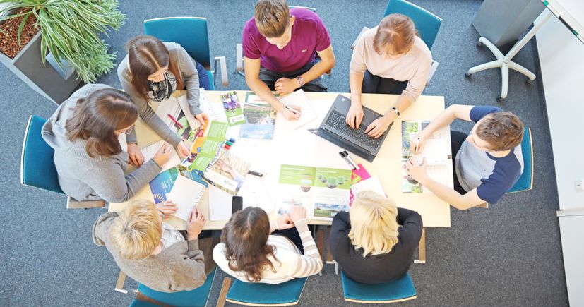 Ausbildung THE PAULY GROUP GmbH & Co. KG - freie Ausbildungsplätze